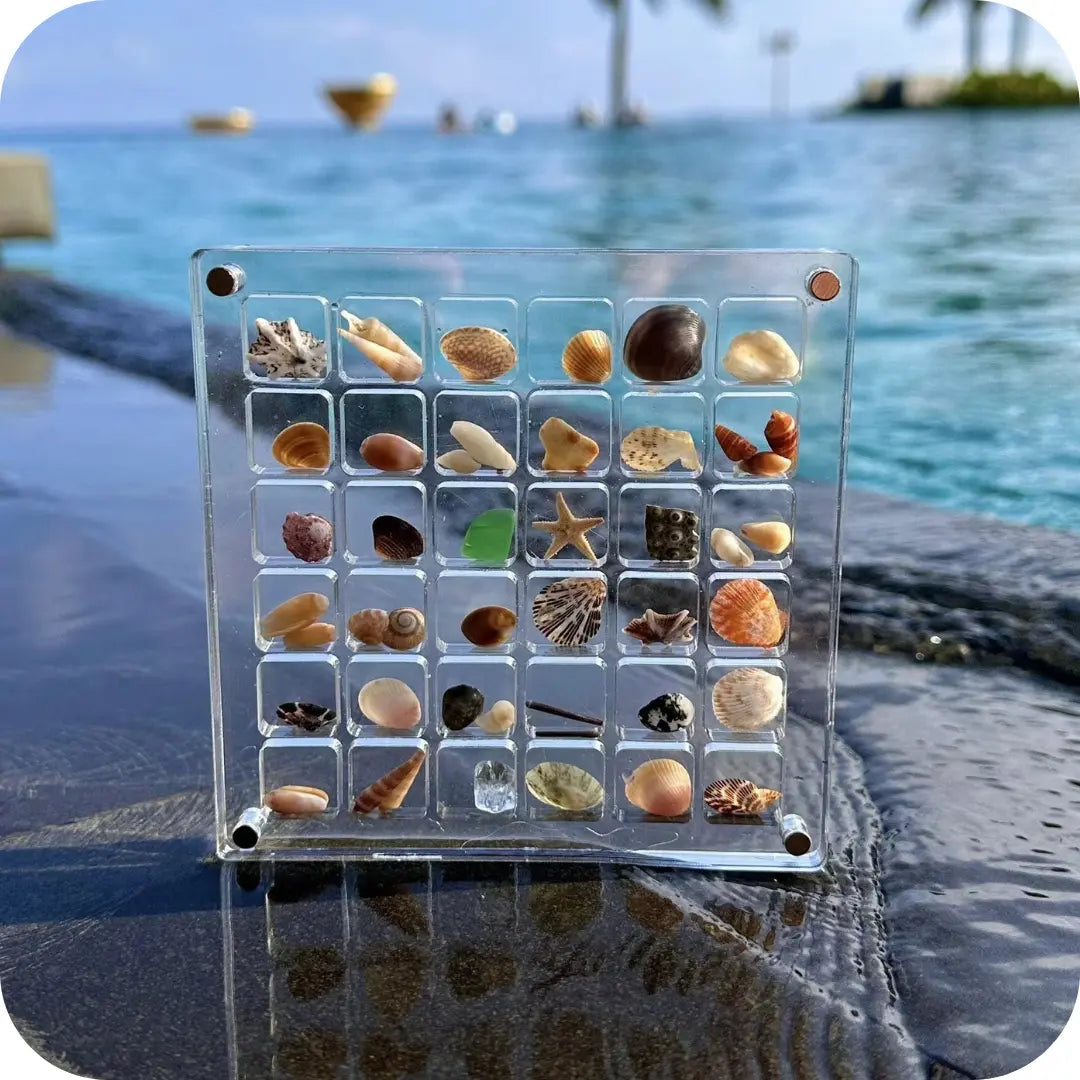 Shell Memories Box
